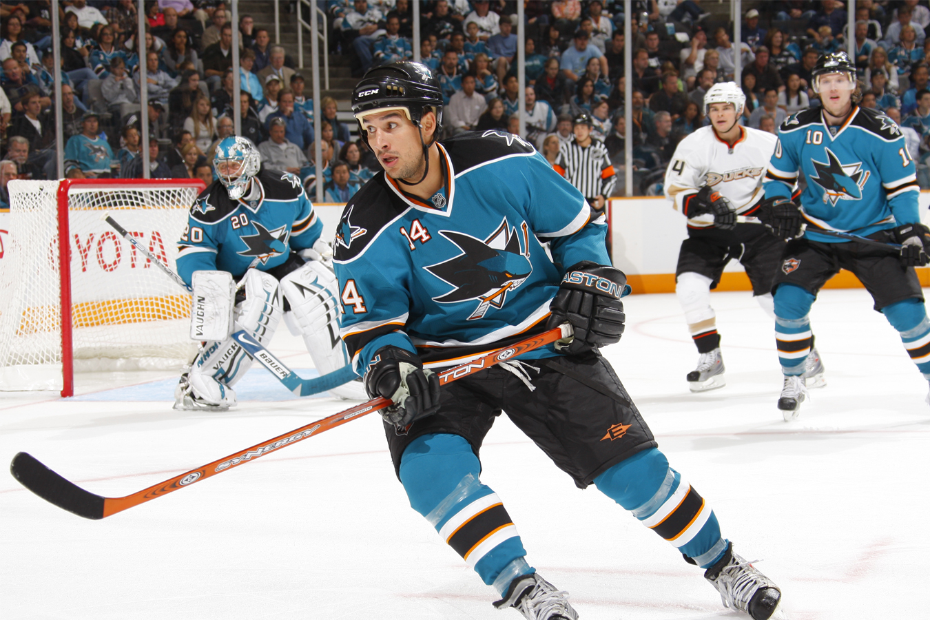 Johnathan Cheechoo - Sharks Alumni Foundation | Sharks Alumni Foundation